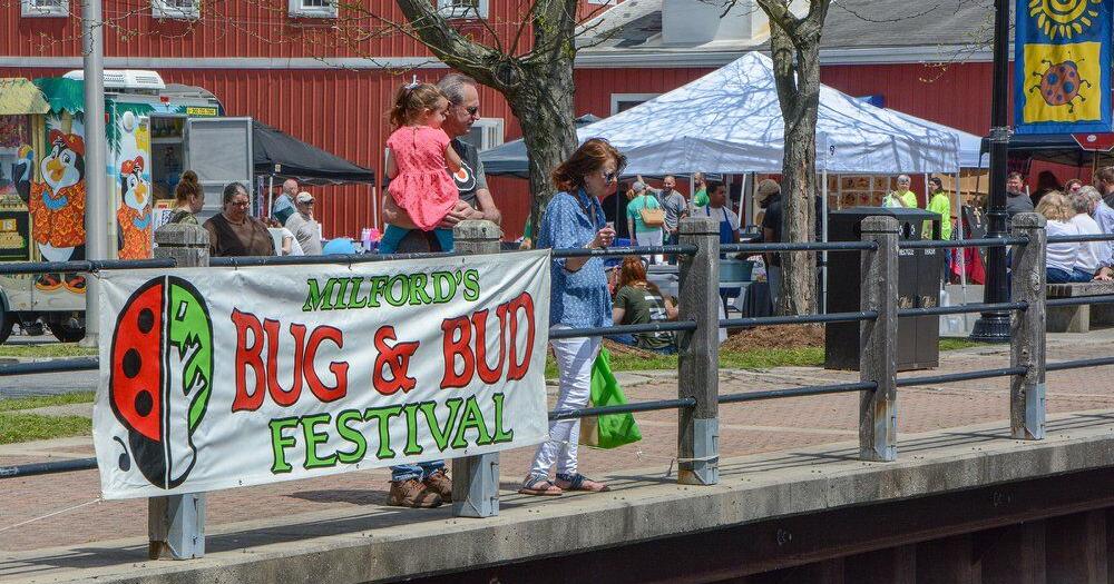 The Milford Bud and Bug Festival is back with springtime festivities downtown | News | coasttv.com