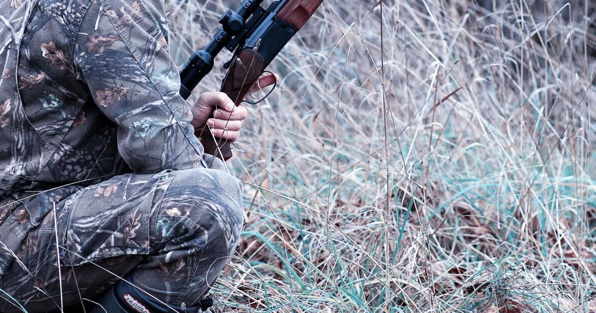 Delaware law to expand Sunday hunting during designated seasons | News ...