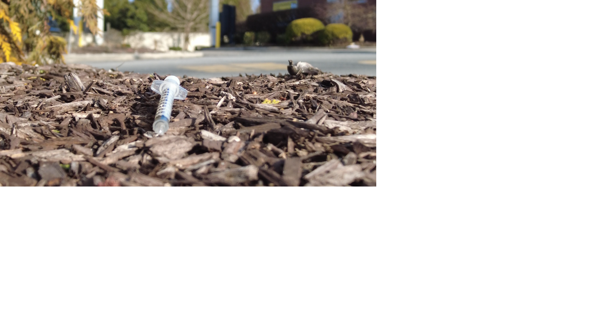 Hypodermic needle found near sidewalk on the outside of Georgetown ...