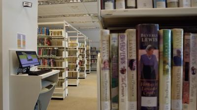 Rehoboth Beach Library Task Force Brainstorms on Programs and Services ...