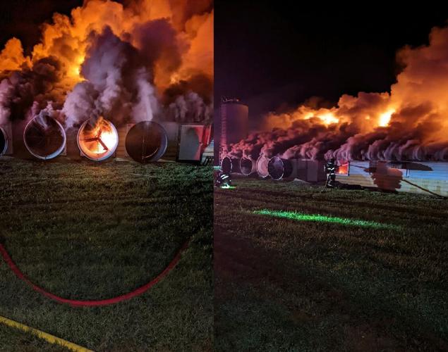 Young birds dead after big Bridgeville chicken house fire | News ...