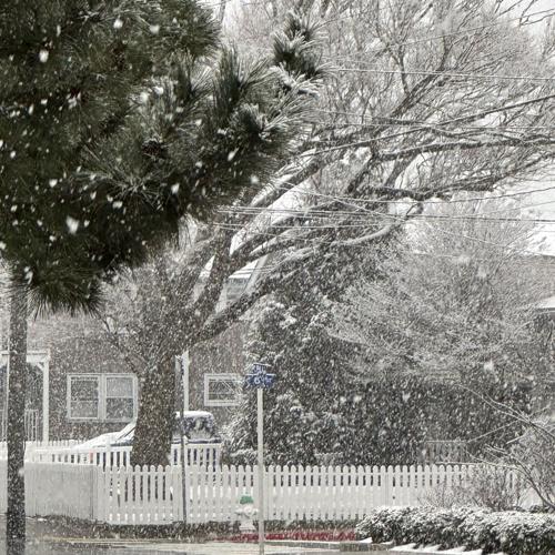 February Snowfall on Delmarva 2025 | News | coasttv.com