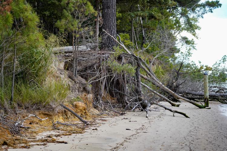 restoration thompson island | News | coasttv.com