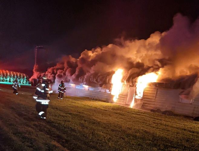 Young birds dead after big Bridgeville chicken house fire | News ...