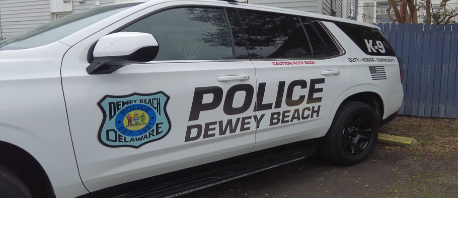 Dewey Beach Police arrest woman following disorderly conduct and ...