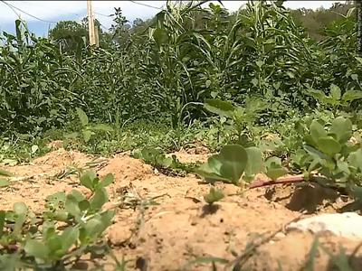 DRBC to hold virtual hearing on Delaware River Basin drought conditions ...