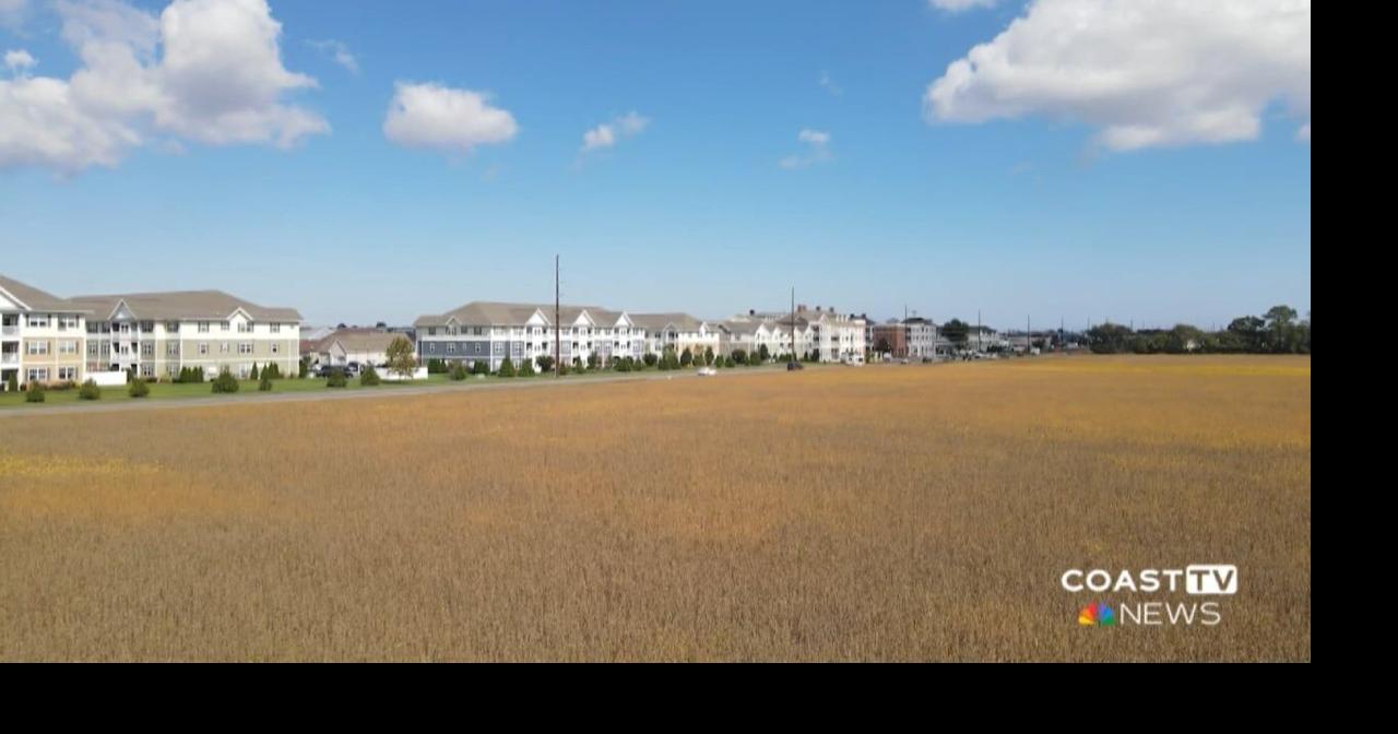County council OKs zoning change for Northstar development in Lewes ...