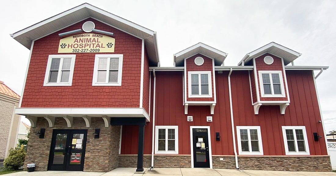 Rehoboth Beach Animal Hospital launches urgent care | News | coasttv.com