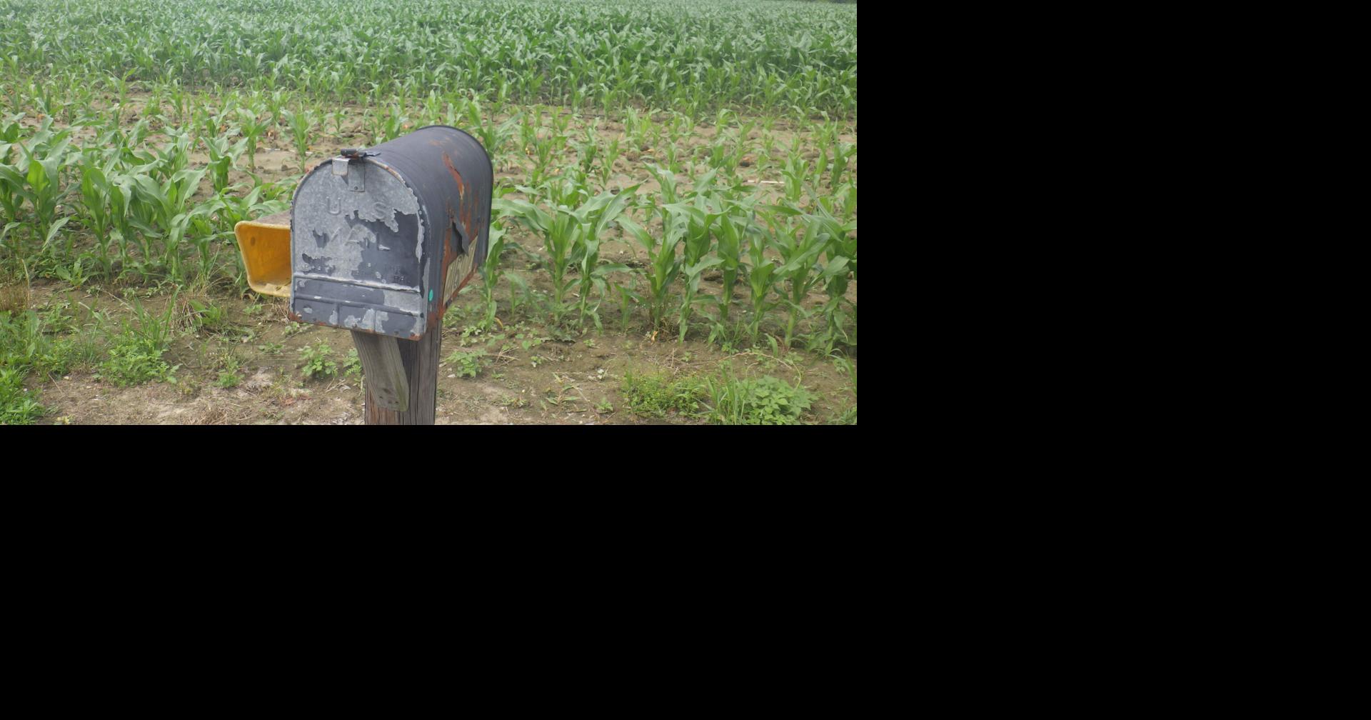 "Flaming balls" shot out of mailbox after fireworks explosion | News ...