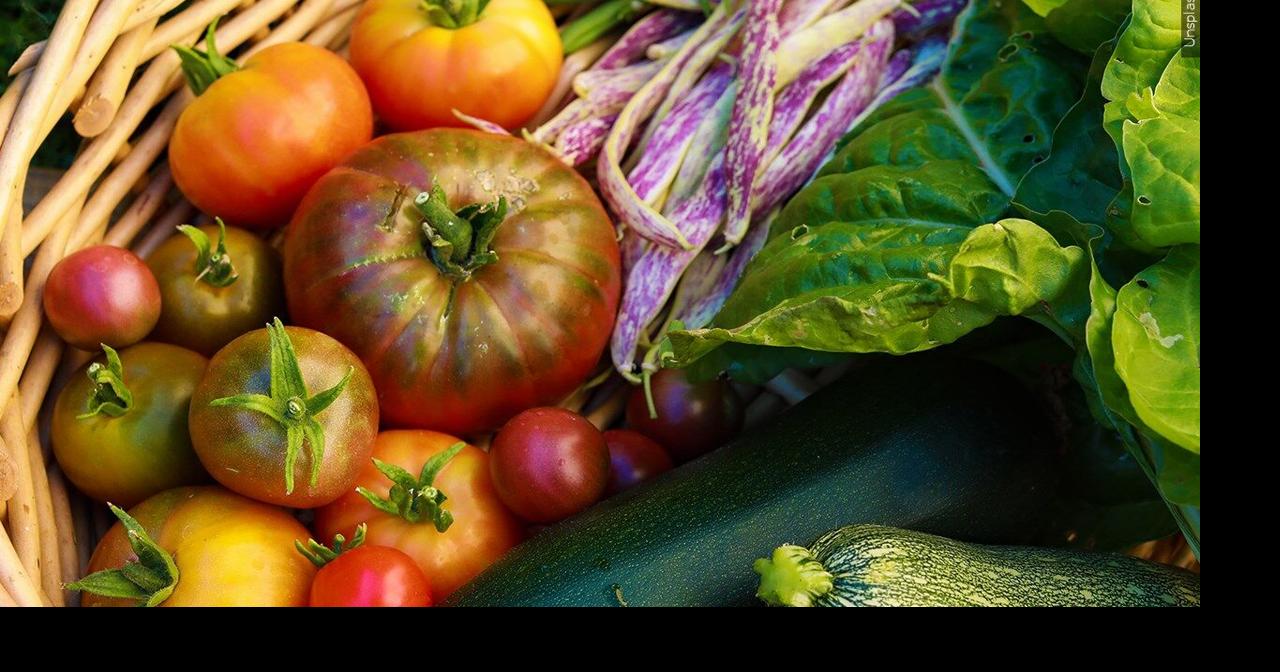 Program aims to familiarize students with diverse specialty crops grown ...