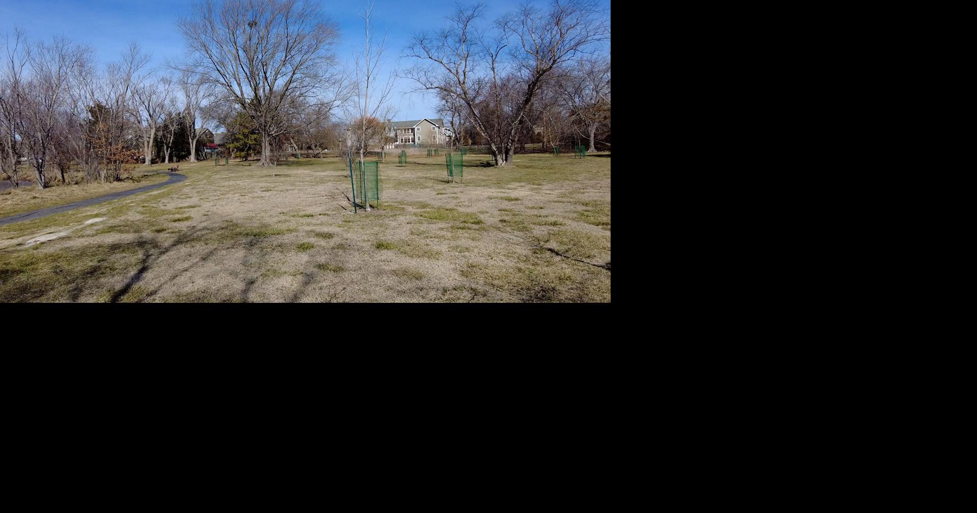 Lewes Parks and Rec to review safety issues in parks in upcoming ...