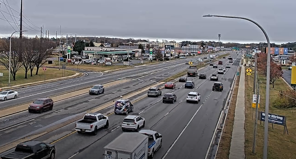 DelDOT working group discusses possible pedestrian bridges over Coastal ...