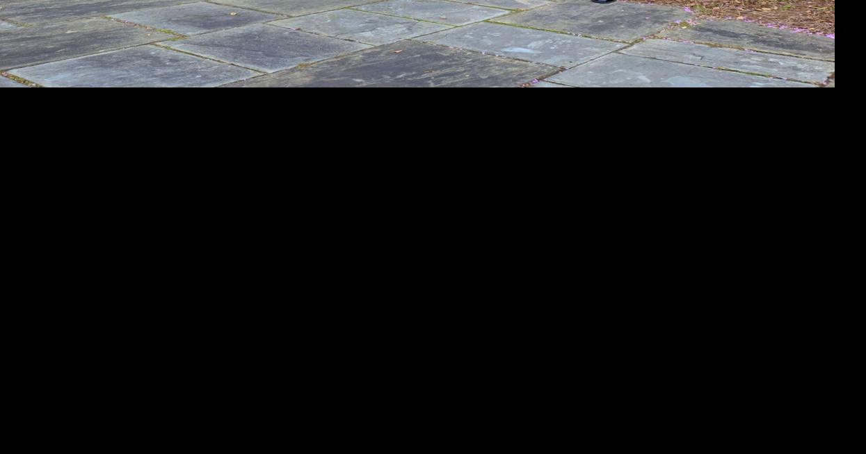 Bethany Beach Police program gives high school students field ...