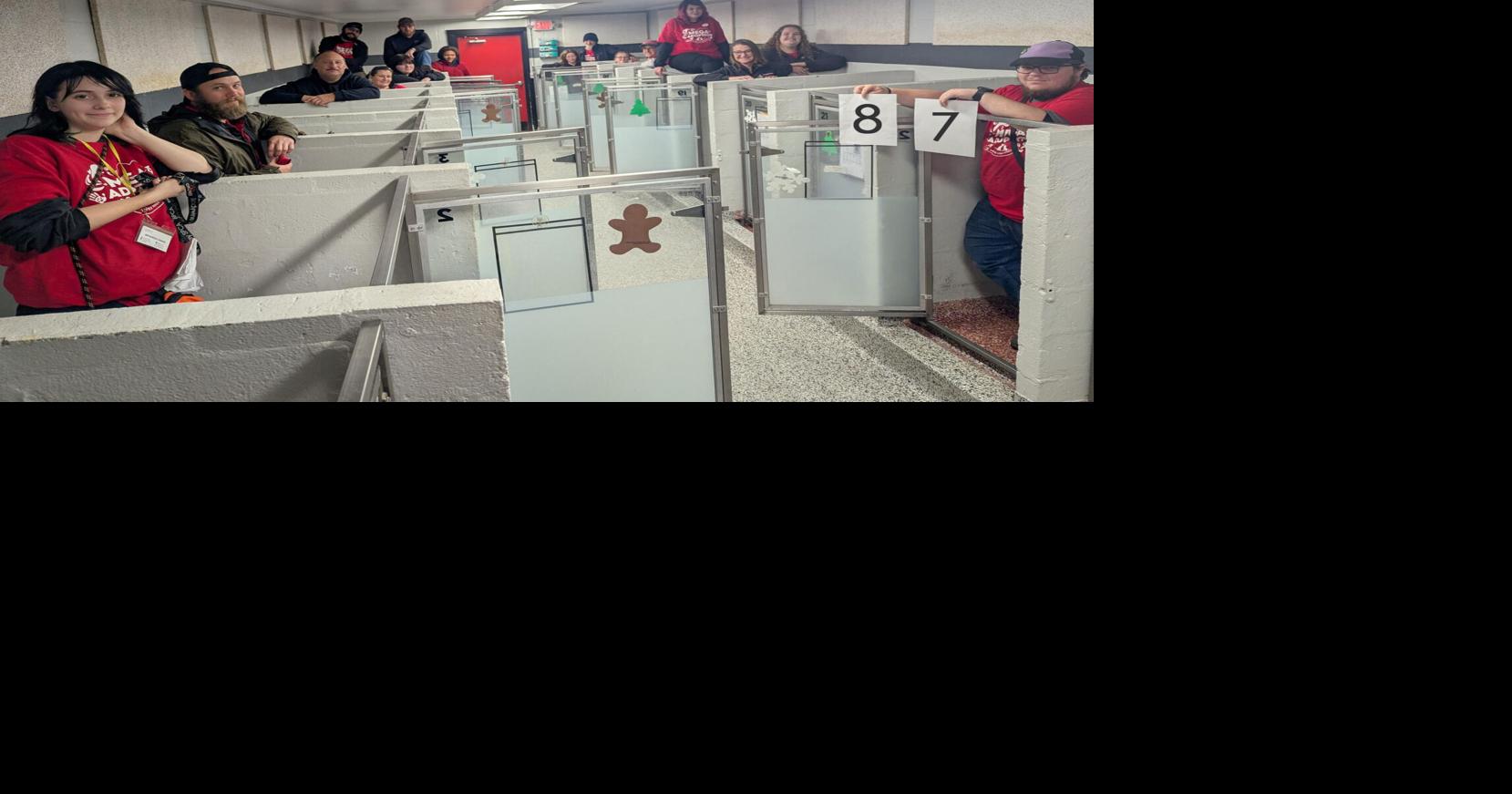 Over 1,100 pets adopted at BVSPCA's Mega Adoption event | News ...