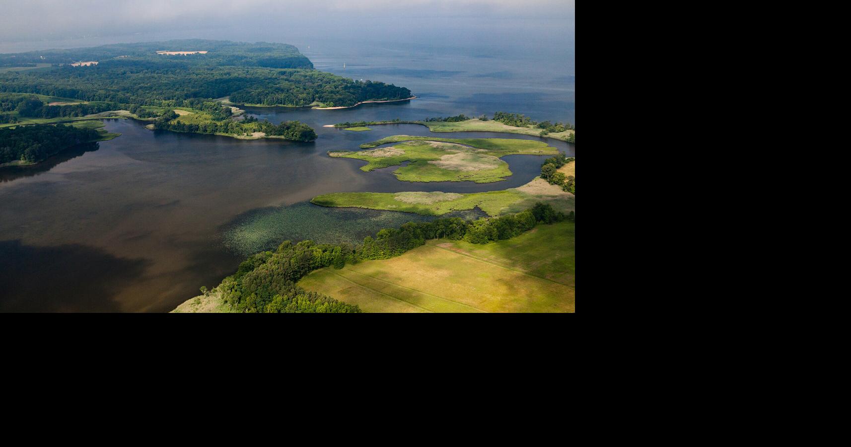 Chesapeake Bay Watershed fish passage projects open 303 stream miles ...