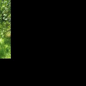 Georgetown-Lewes Bike Trail To Be Revealed TODAY | | coasttv.com