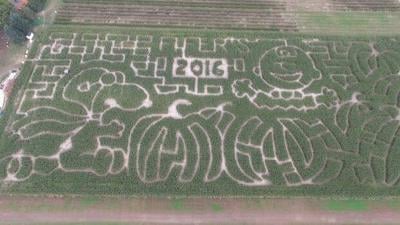WRDE on Tour: Fifer Orchards Features Peanuts-Themed Corn Maze ...