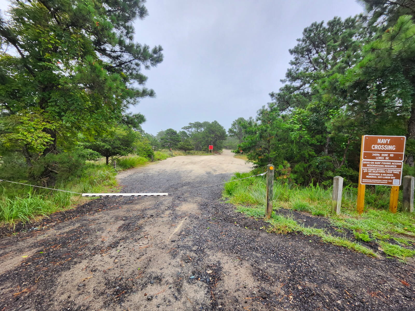 Surf fishing crossings to close at Cape Henlopen State | News | coasttv.com