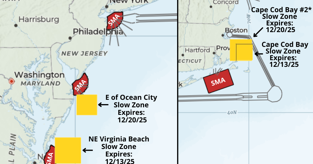 Right whale Slow Zone in effect east of Ocean City through Dec. 20 ...