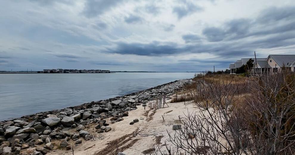 UPDATE: Emergency closure of shellfish harvest at Indian River Bay due ...