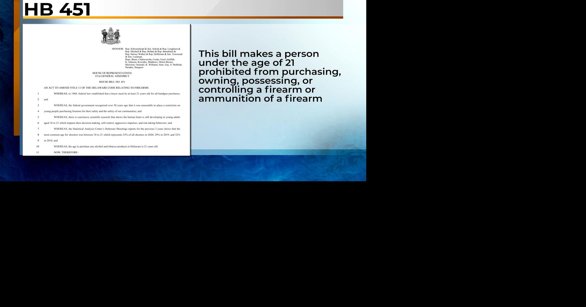 Delaware State Sportsmen's Association Suing Over Gun Ownership Age ...