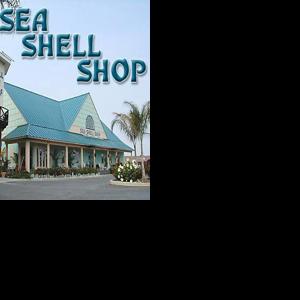 Sea Shell Shop Consolidates into One Store | News | coasttv.com