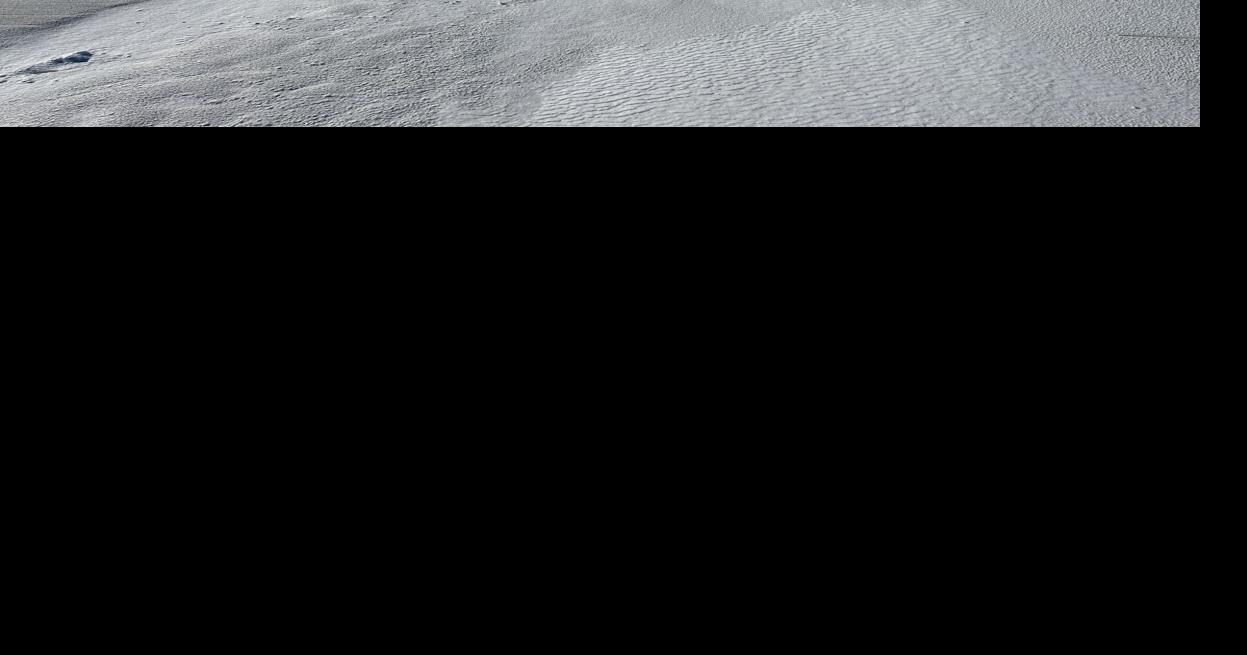 February Snowfall on Delmarva 2025 | News | coasttv.com