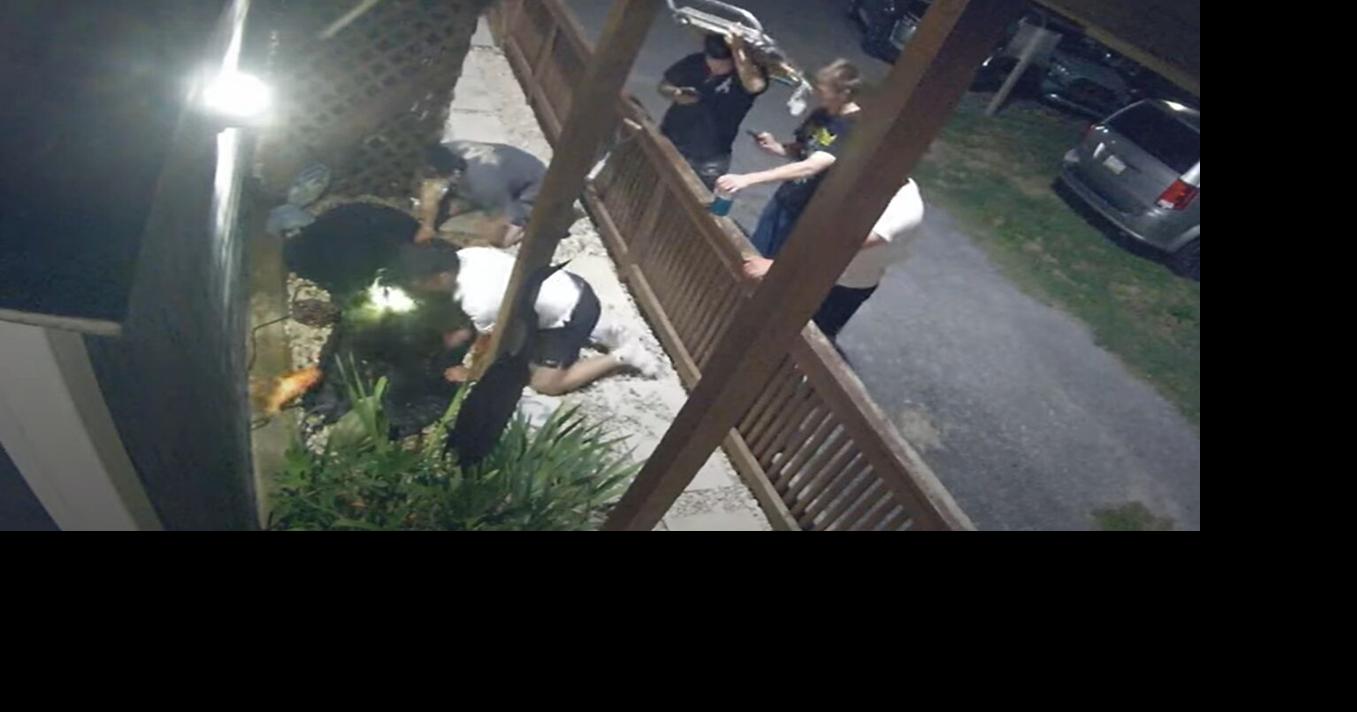 PETA offers reward for information about men caught on camera abusing ...