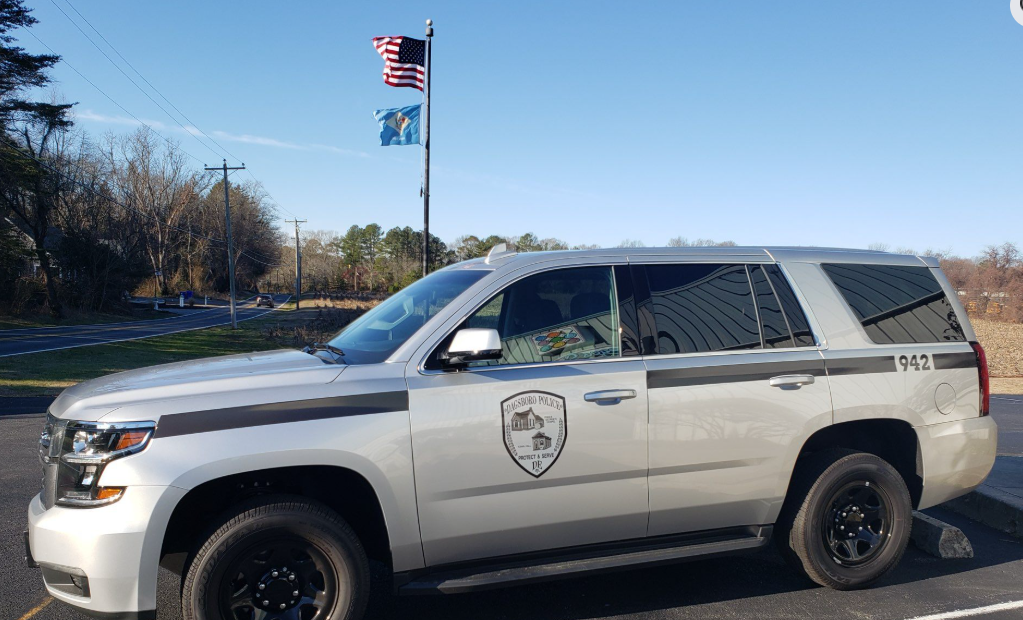 DUI arrests topped Dagsboro police arrest data in 2025 | News | coasttv.com