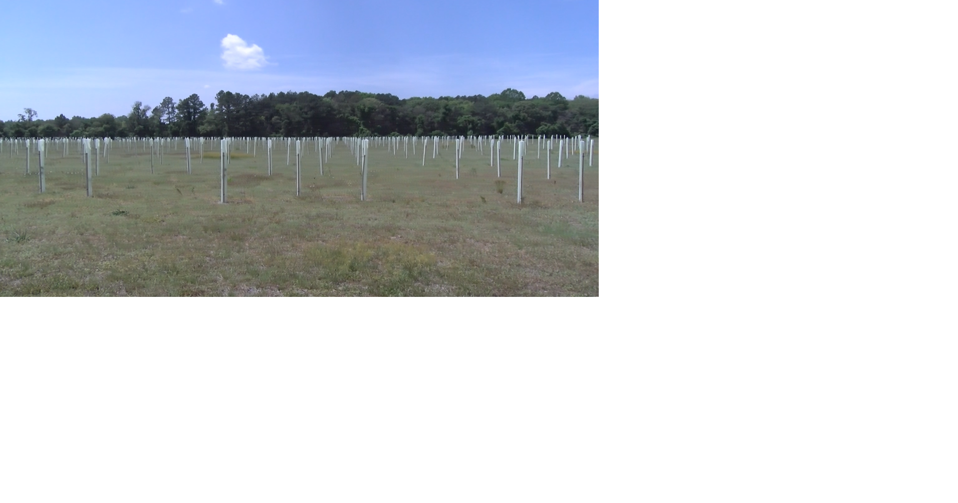 Stockley Center Environmental Projects | | coasttv.com