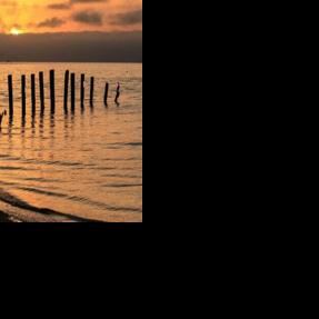 Chesapeake Bay Program Provides Annual Update on Watershed Restoration ...