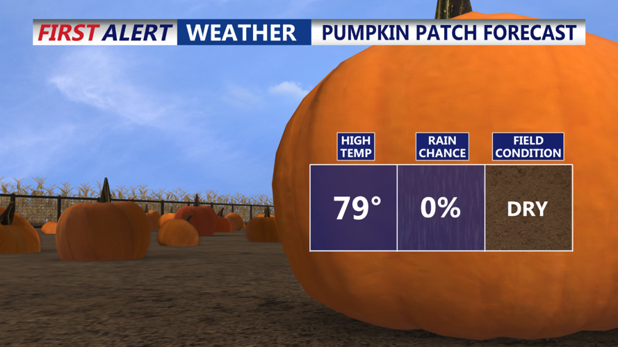 Mild and sun filled weekend for Delmarva with a chance of showers ...