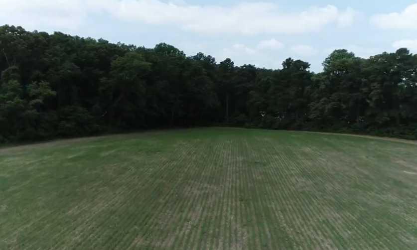 Sussex County Land Trust looks ahead as it marks 25th anniversary ...