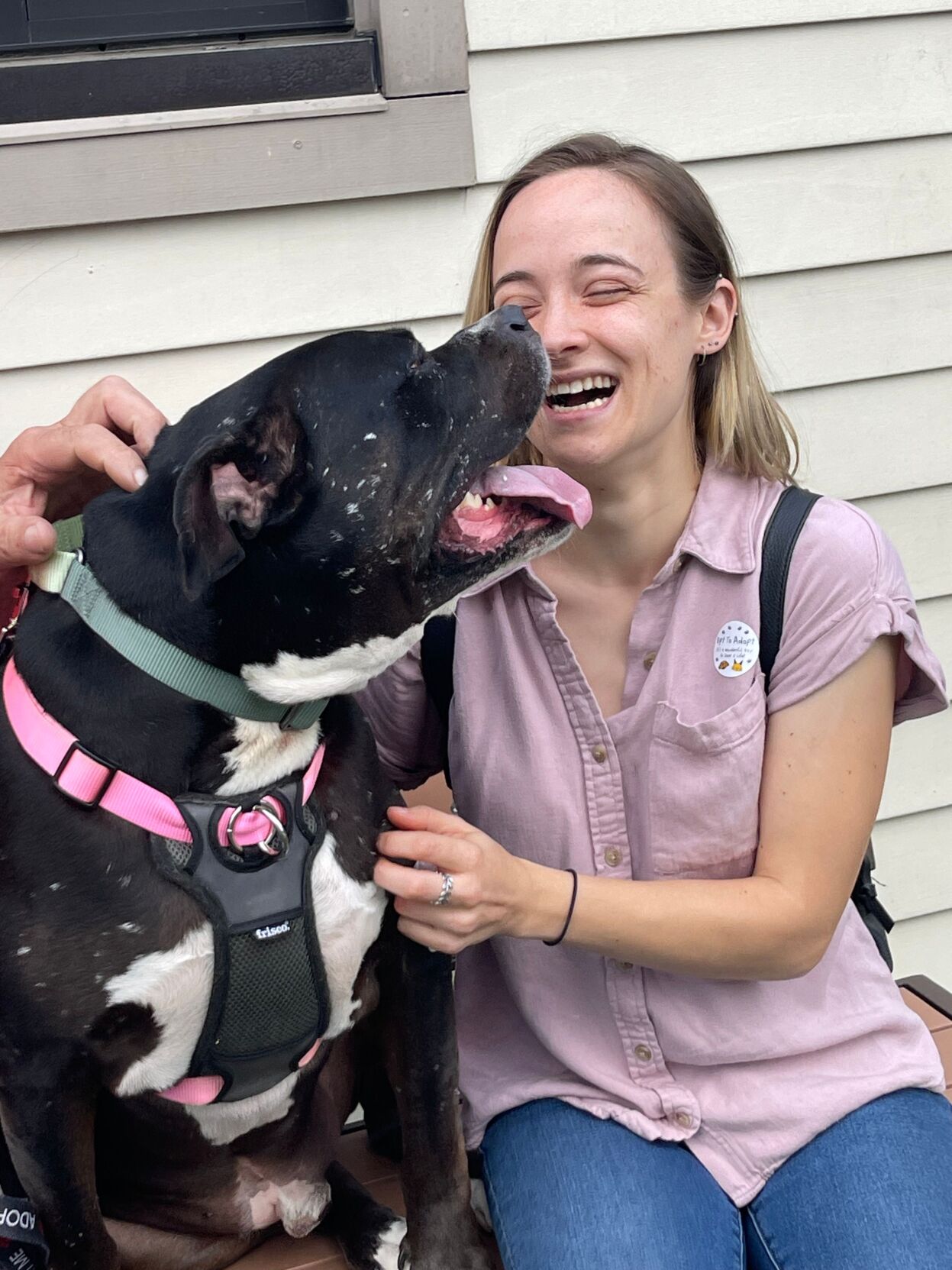 Adopted After 563 Days at Brandywine Valley SPCA | Delaware | coasttv.com