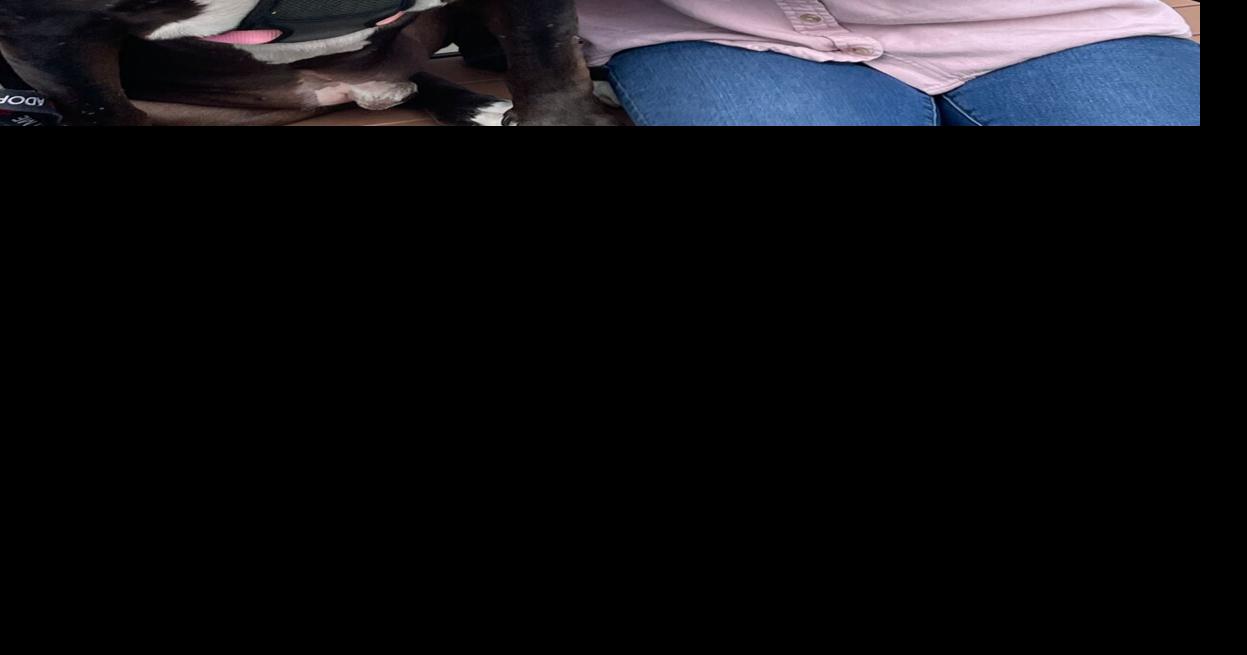 Adopted After 563 Days at Brandywine Valley SPCA | Delaware | coasttv.com