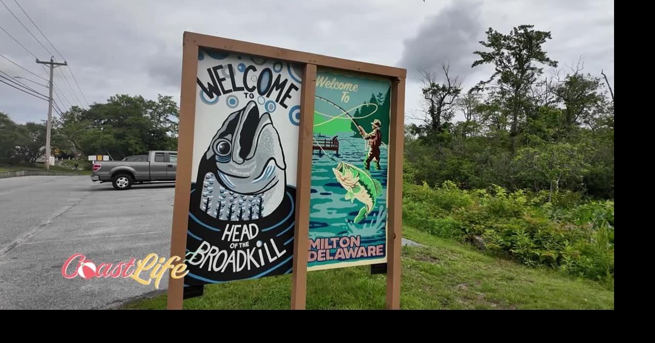 Meet CoastLife's Newest Field Correspondent: Kendall Gordon | | coasttv.com