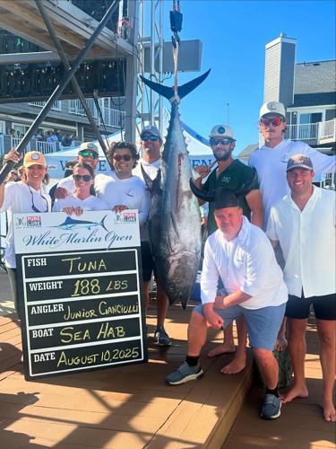 largest white marlin