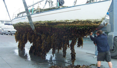 U.S. Navy Awards $1M to UMES Researcher, Minority Students in STEM to ...