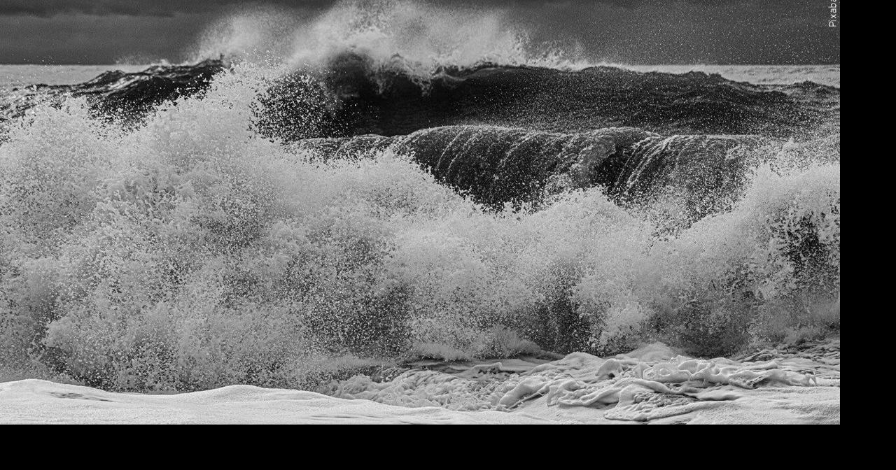 Marine science forum coming to Maryland's eastern shore | News ...