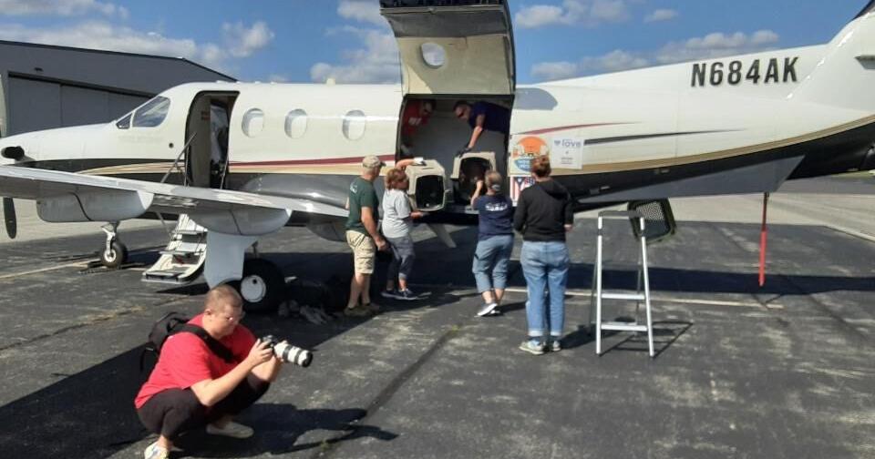 Brandywine Valley SPCA welcomes 60 more pets saved from Hurricane ...