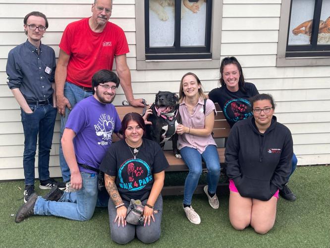 Adopted After 563 Days at Brandywine Valley SPCA | Delaware | coasttv.com