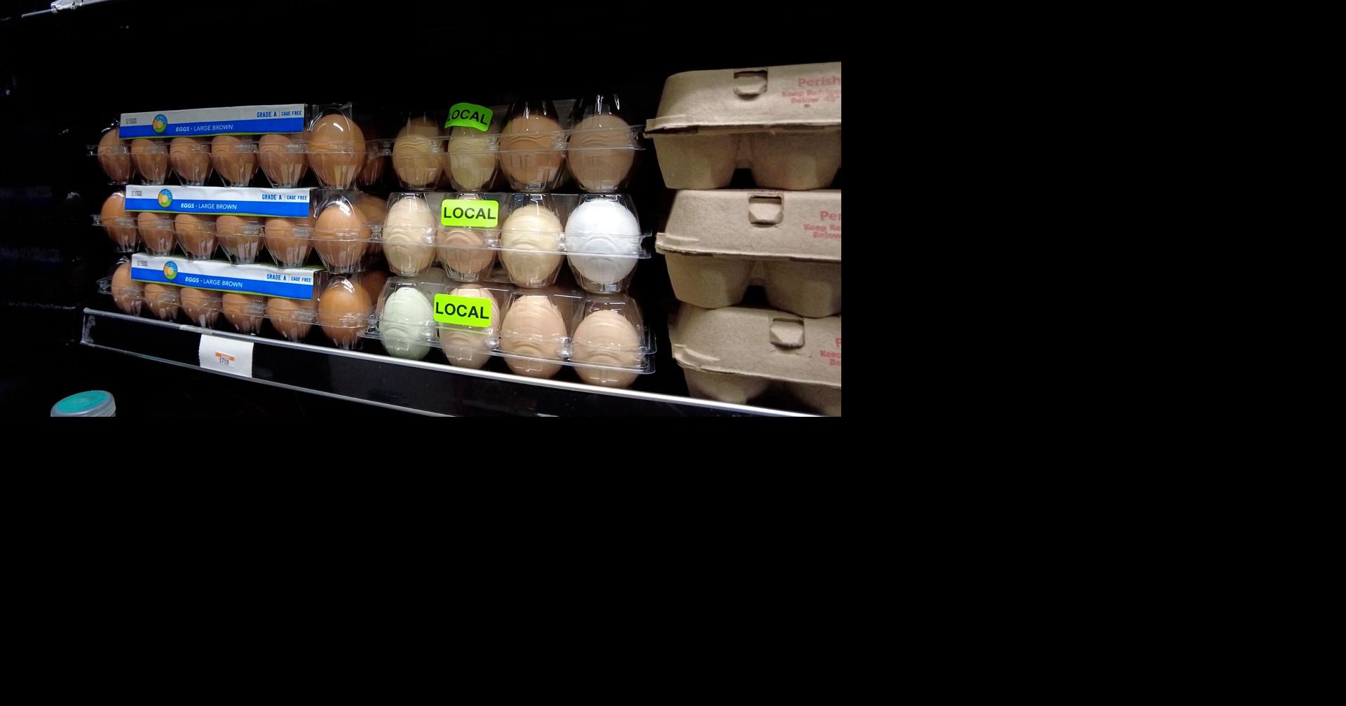 Egg shortages on the coast: prices soar as bird flu disrupts supply ...