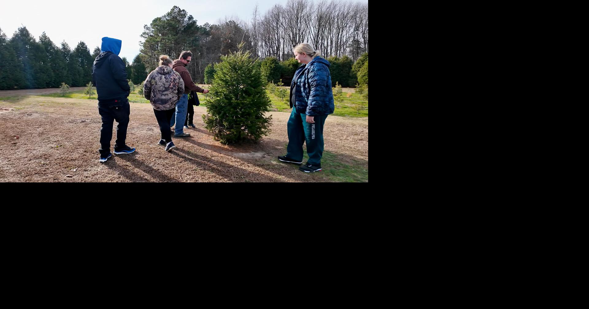 Finding the perfect Christmas tree at Don's Tree Farm | News | coasttv.com