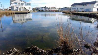 Progress Made in Plan to Dredge Bay in Fenwick Island | News | coasttv.com