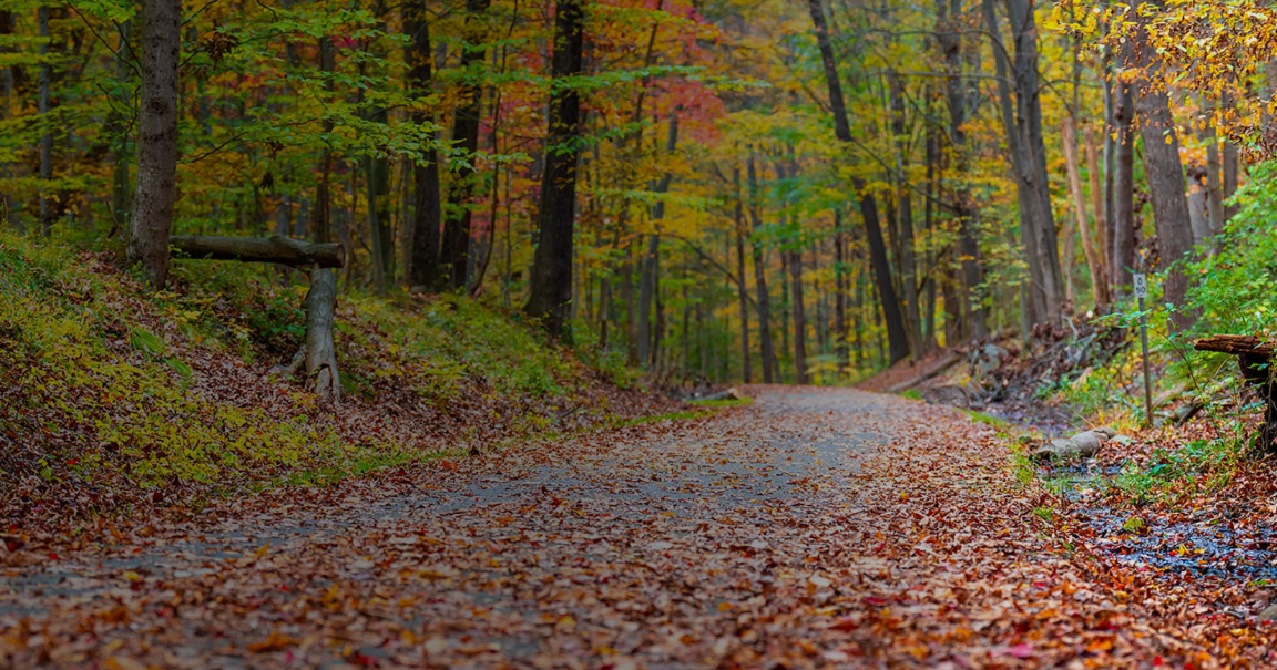 Maryland unveils plan to expand safe, connected statewide trail system ...