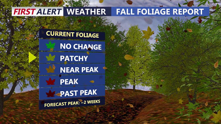The Science Behind Fall Foliage | News | coasttv.com