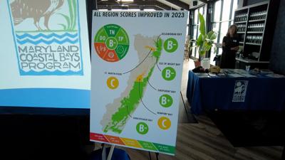 Ocean City celebrates strong scores on coastal bays report card | News ...