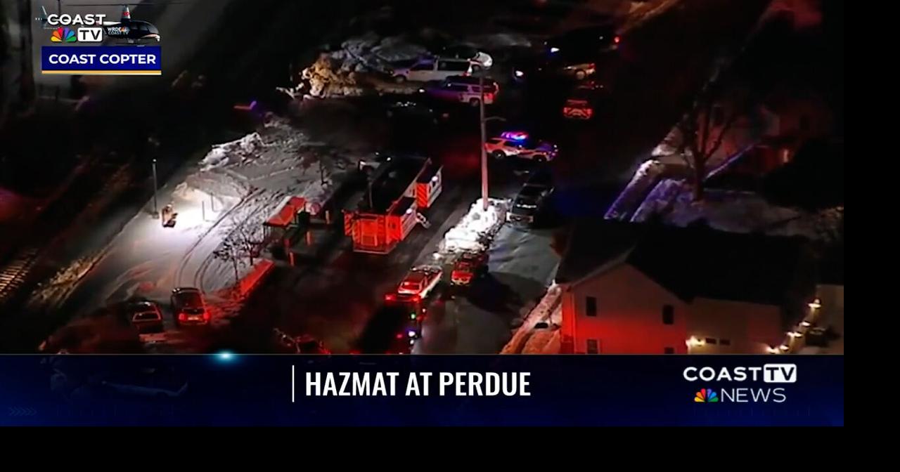Chemical accident at Georgetown Perdue plant under investigation by ...