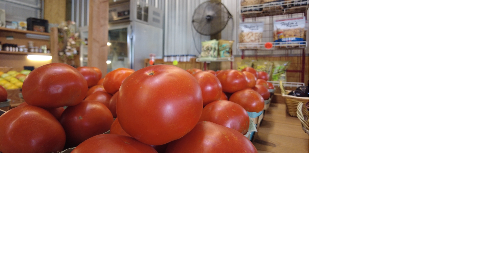 Tomatoes running into some trouble in Sussex County | News | coasttv.com