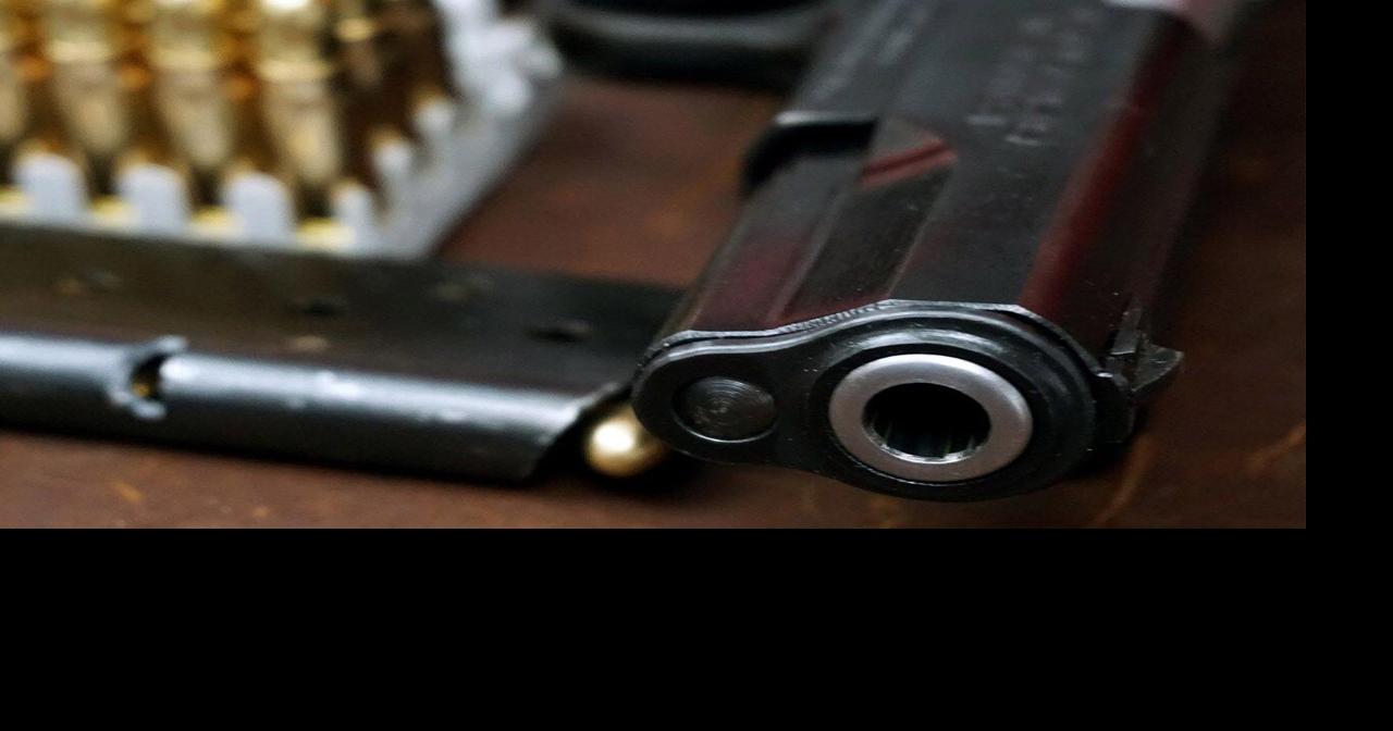 Delaware State House passes the 'Permit to Purchase' gun bill | News ...